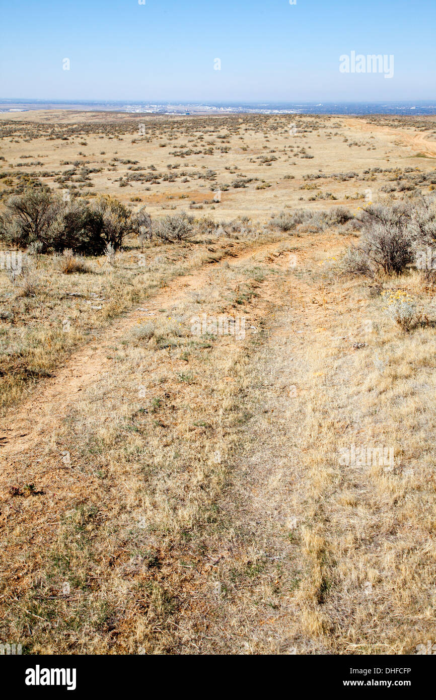 Pioneer wagon train hi-res stock photography and images - Alamy