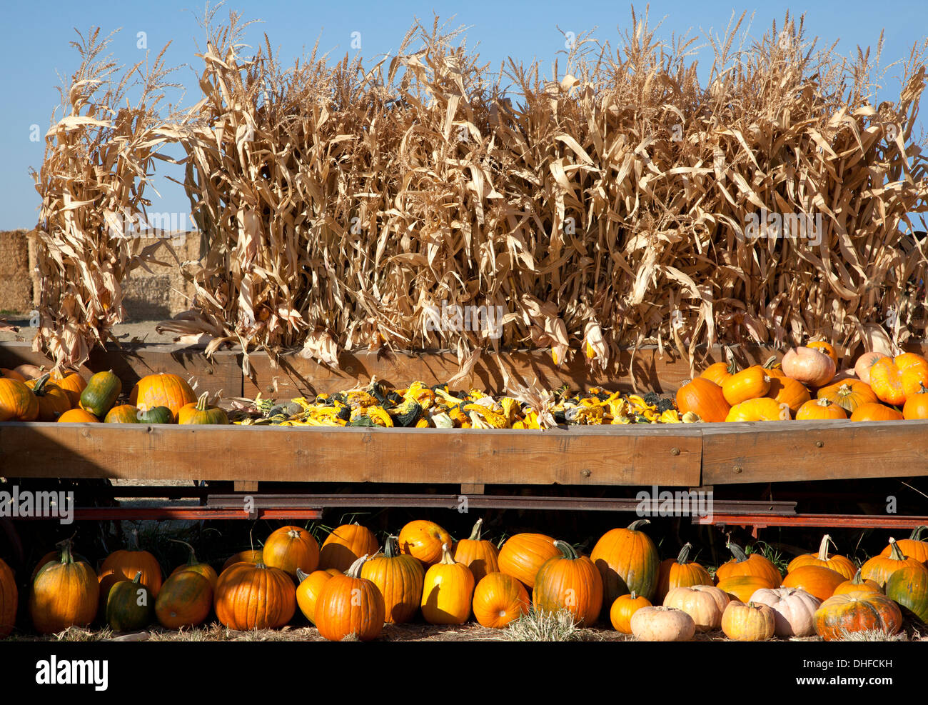Fall scene, pumpkins hi-res stock photography and images - Alamy