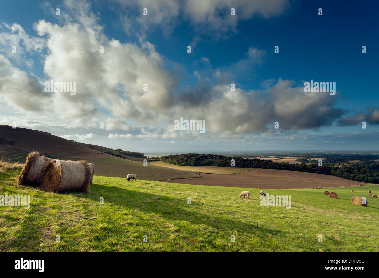 Summer afternoon in South Downs National Park, Polegate, East Sussex ...