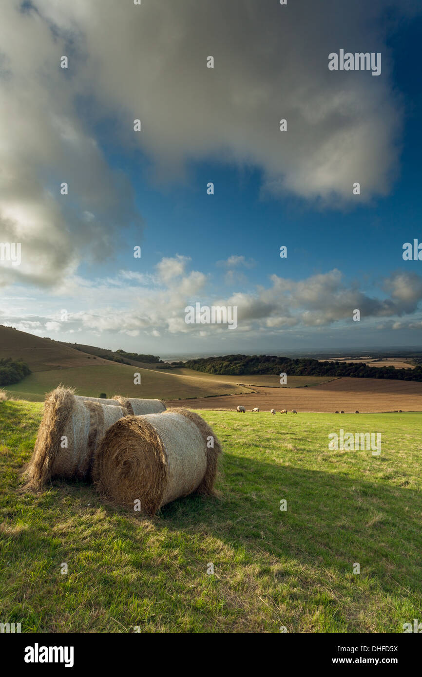 Summer afternoon in South Downs National Park, Polegate, East Sussex ...
