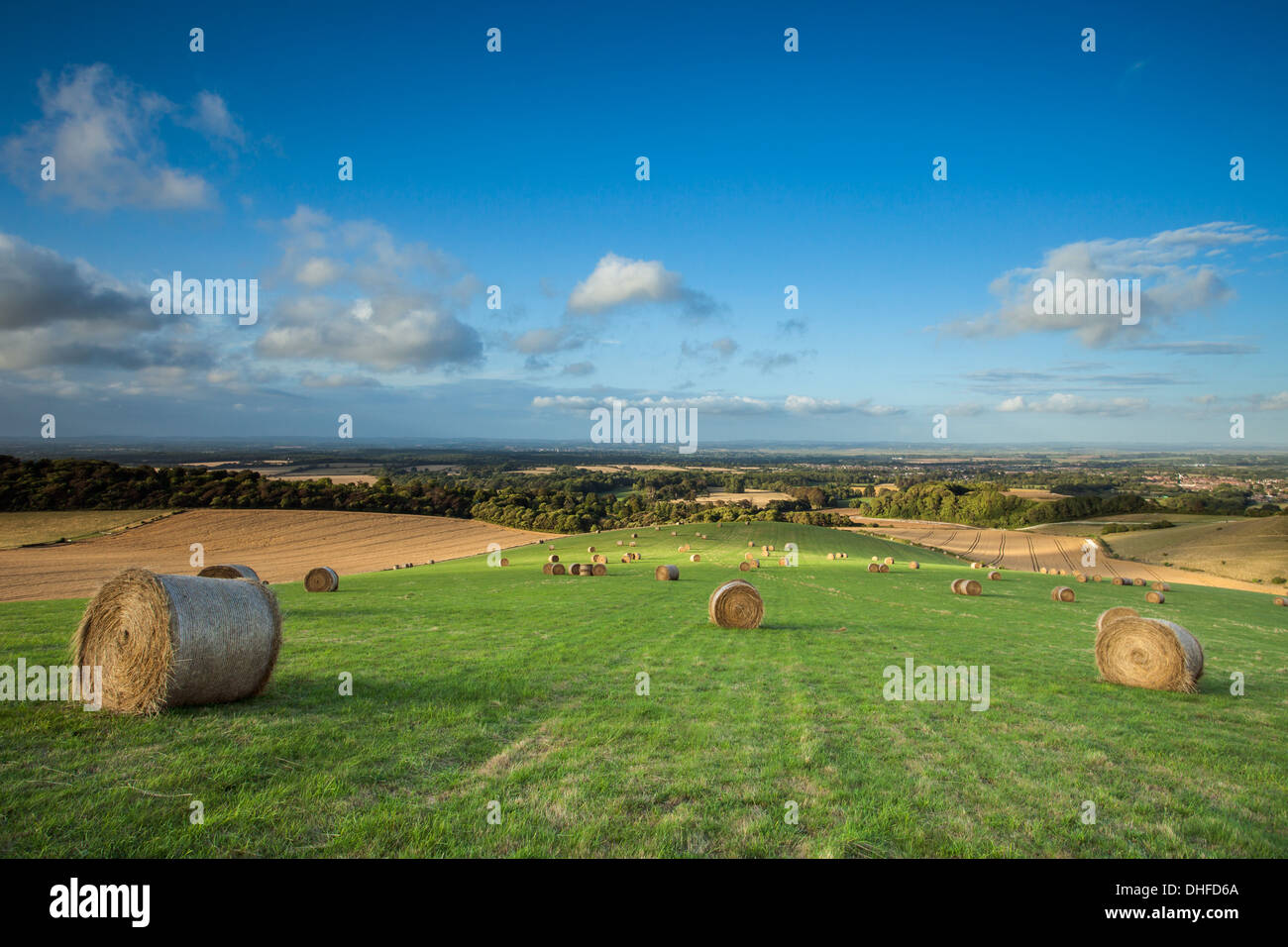 Polegate hi-res stock photography and images - Alamy