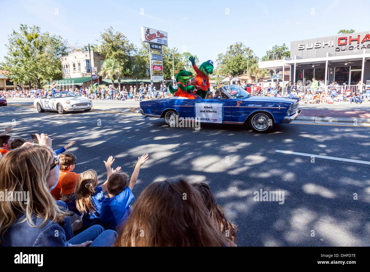 Albert and alberta gator hi-res stock photography and images - Alamy