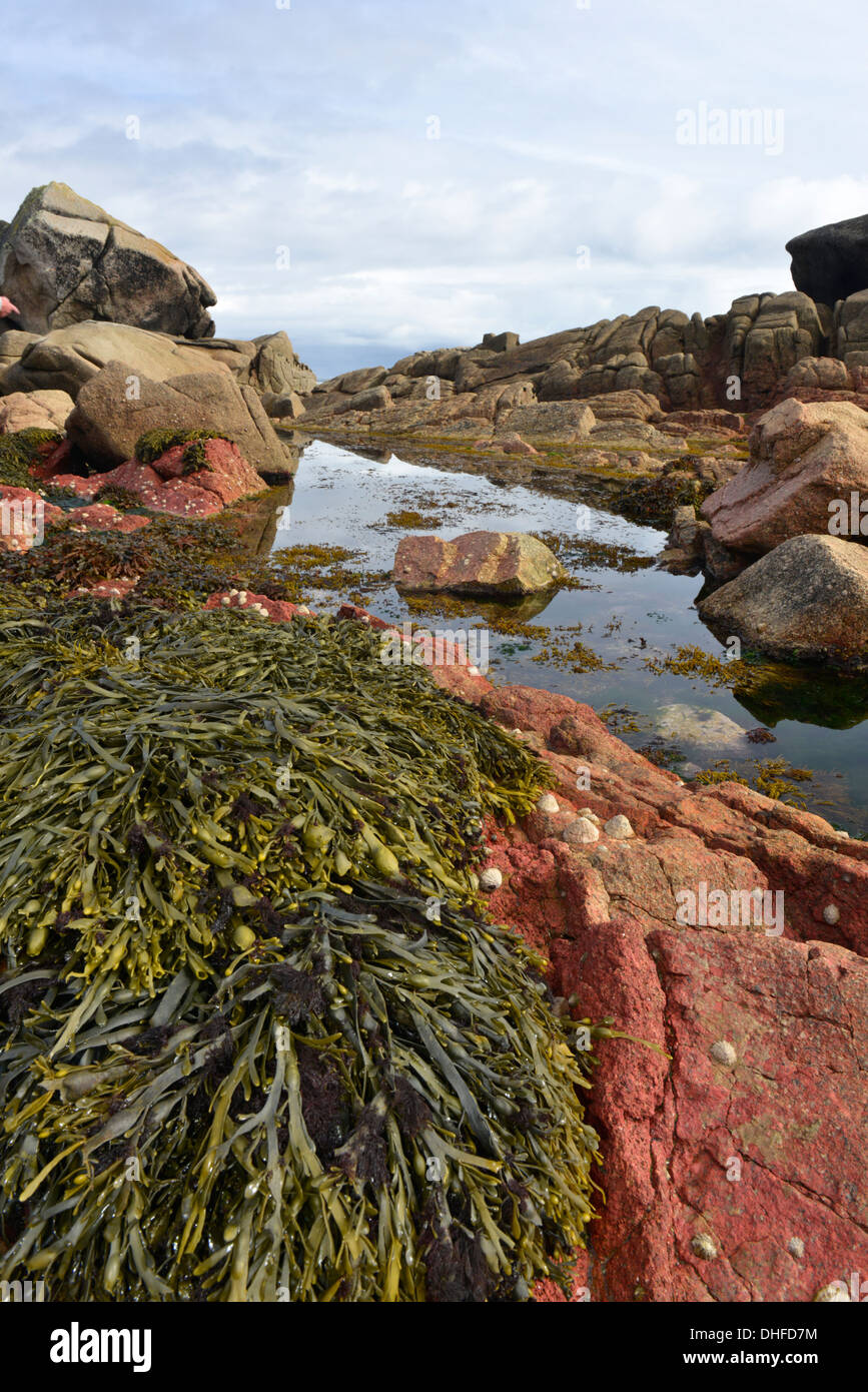 Old rock pooling hi-res stock photography and images - Alamy