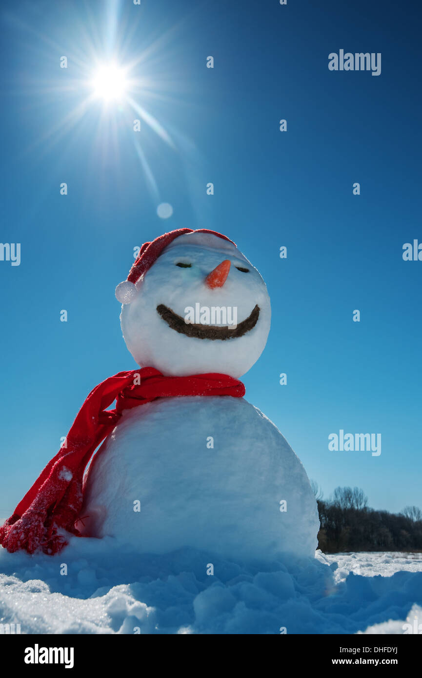 snowman look in sky and wait spring Stock Photo - Alamy