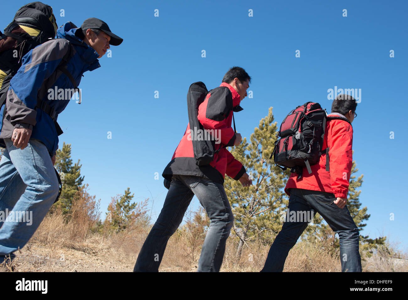 Sport hiking in the fall, walking and backpacking Stock Photo - Alamy