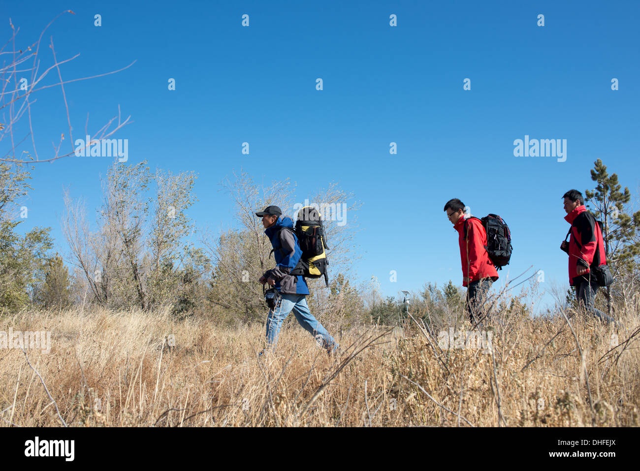 Three persons hi-res stock photography and images - Alamy