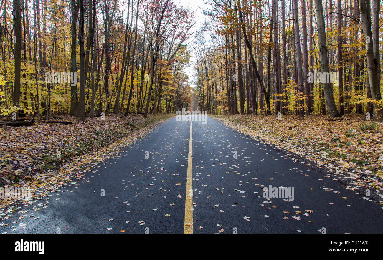 Road and fall hi-res stock photography and images - Alamy