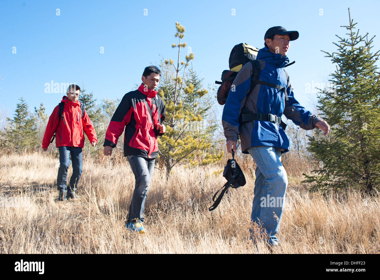 A group of people with backpacks walking along the road Stock Photo - Alamy