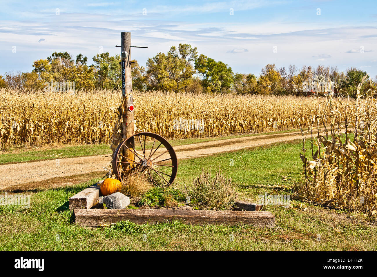Autumn cornfield with decorative post at entrance to country driveway ...
