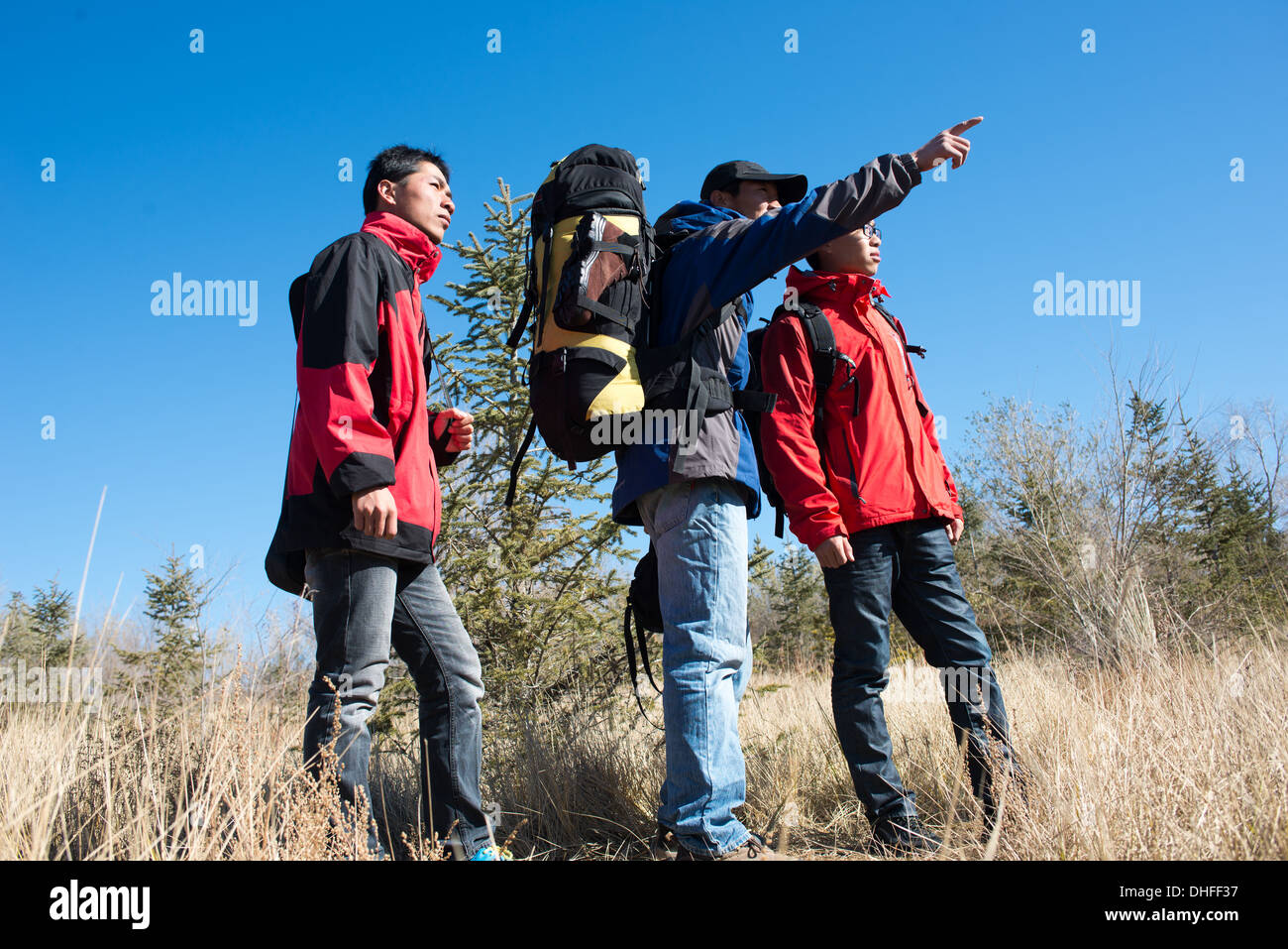 Three hikers hi-res stock photography and images - Alamy