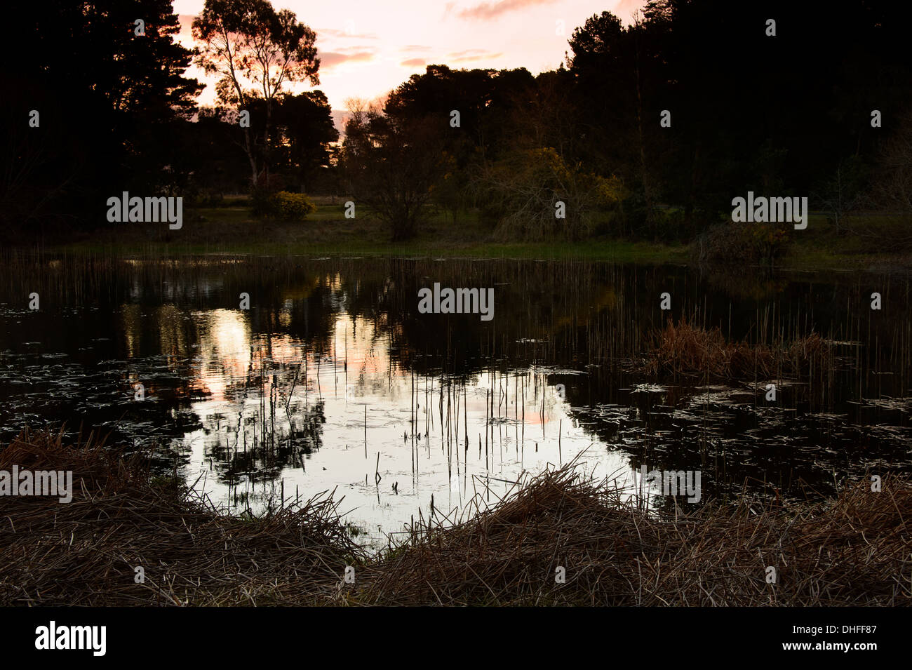 Lake at dusk retail background Stock Photo - Alamy