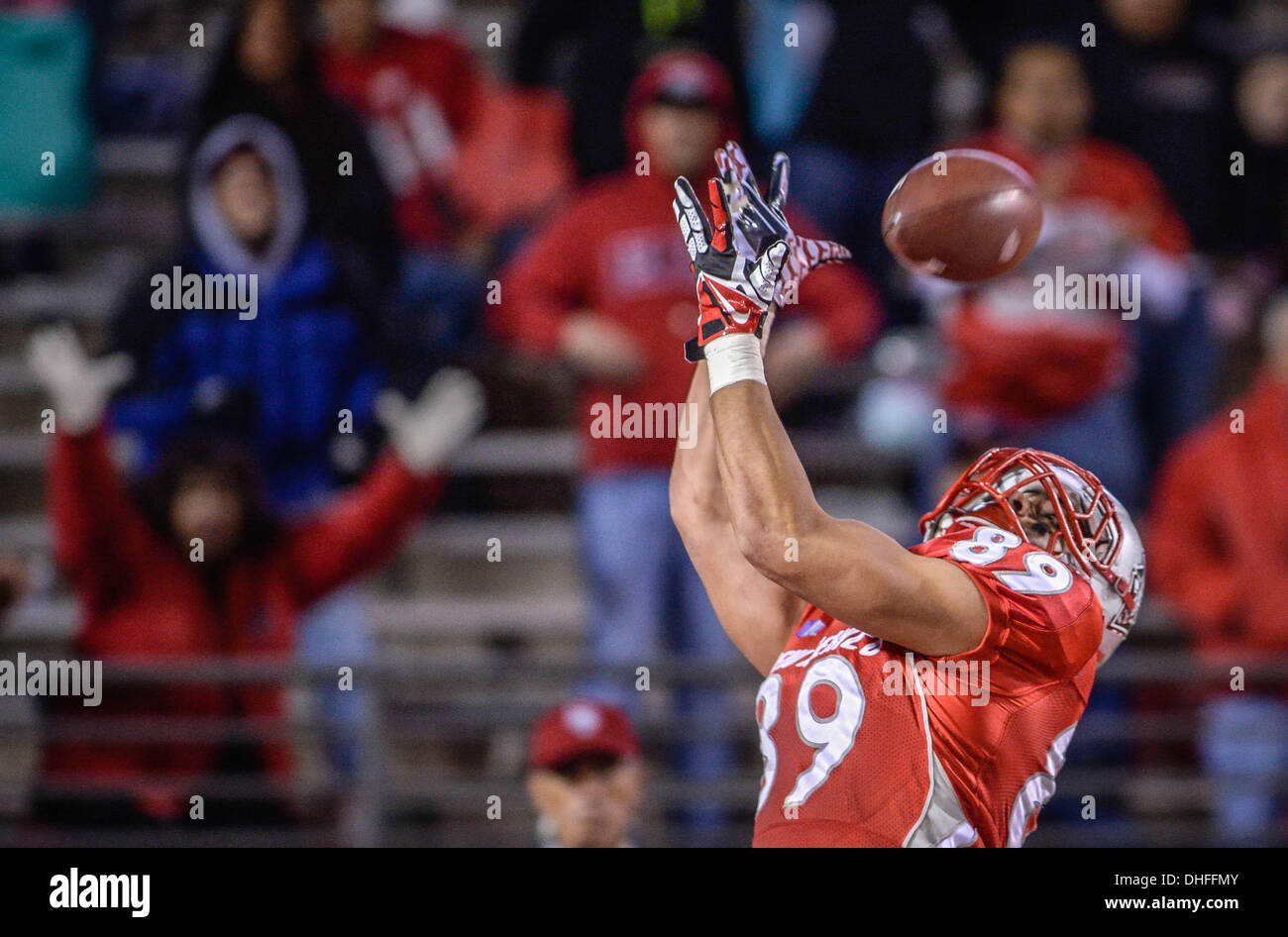 Albuquerque, New Mexico, USA. 8th Nov, 2013. Roberto E. Rosales.Lobo ...