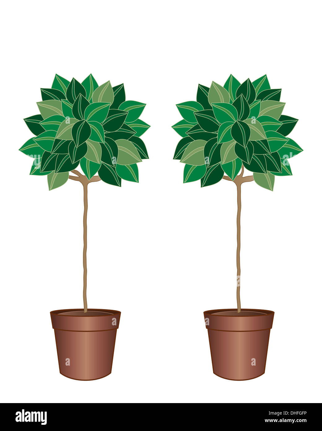 an illustration of a pair of decorative bay trees in brown pots with ...
