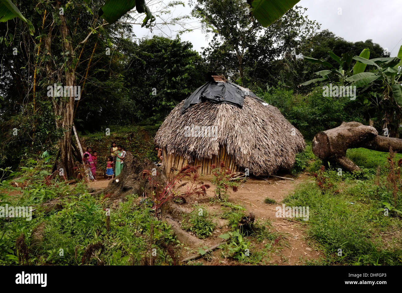Panama indigenous people bugle hi-res stock photography and images - Alamy