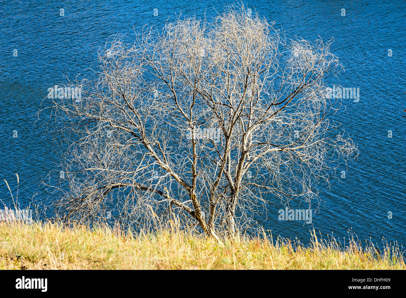 Lakeside scenery hi-res stock photography and images - Alamy