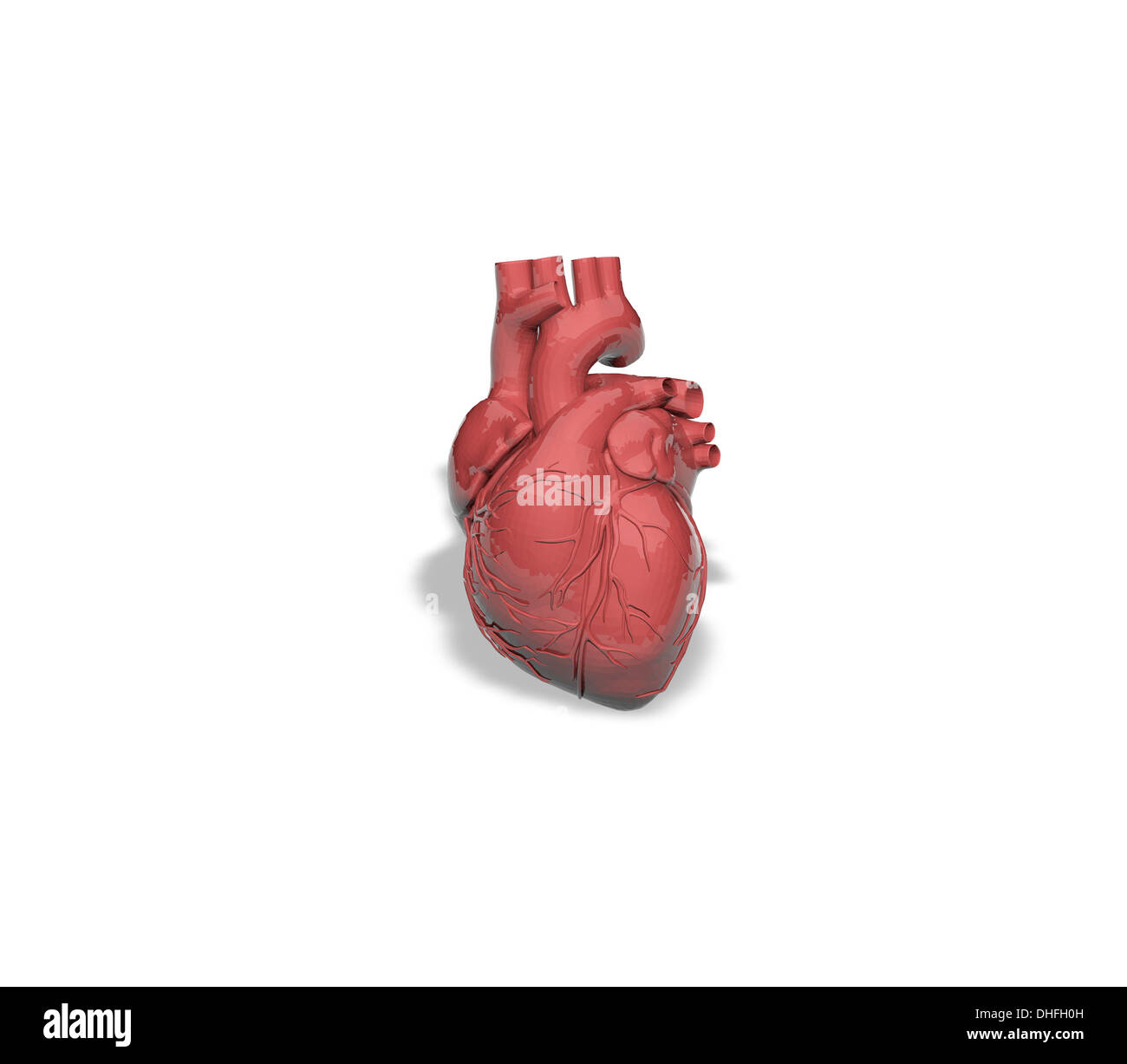 human heart white white background Stock Photo - Alamy