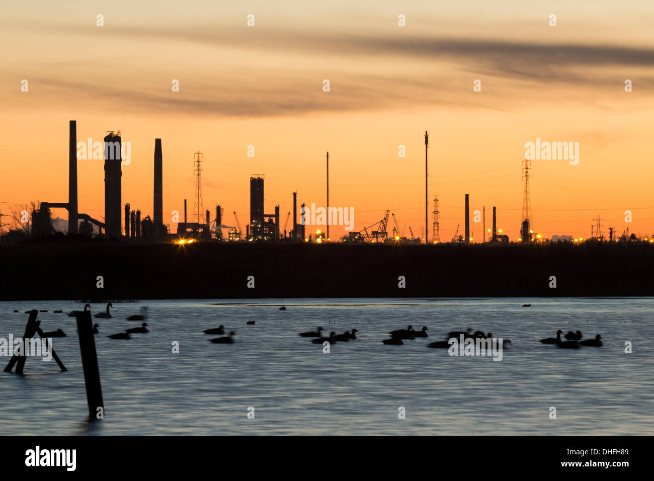 Saltholme RSPB reserve between Middlesbrough and Hartlepool, north east ...