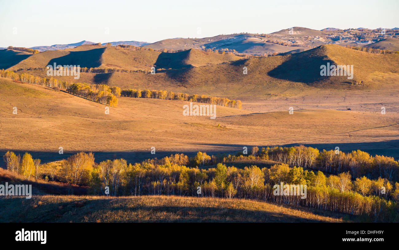 Grassland tree hi-res stock photography and images - Alamy