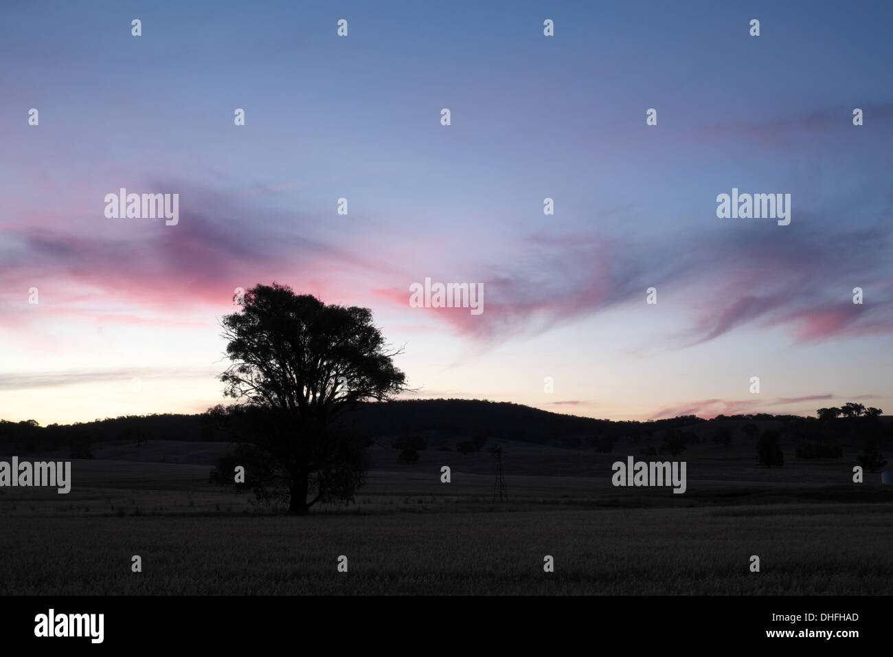 Sunset and gum tree hi-res stock photography and images - Alamy