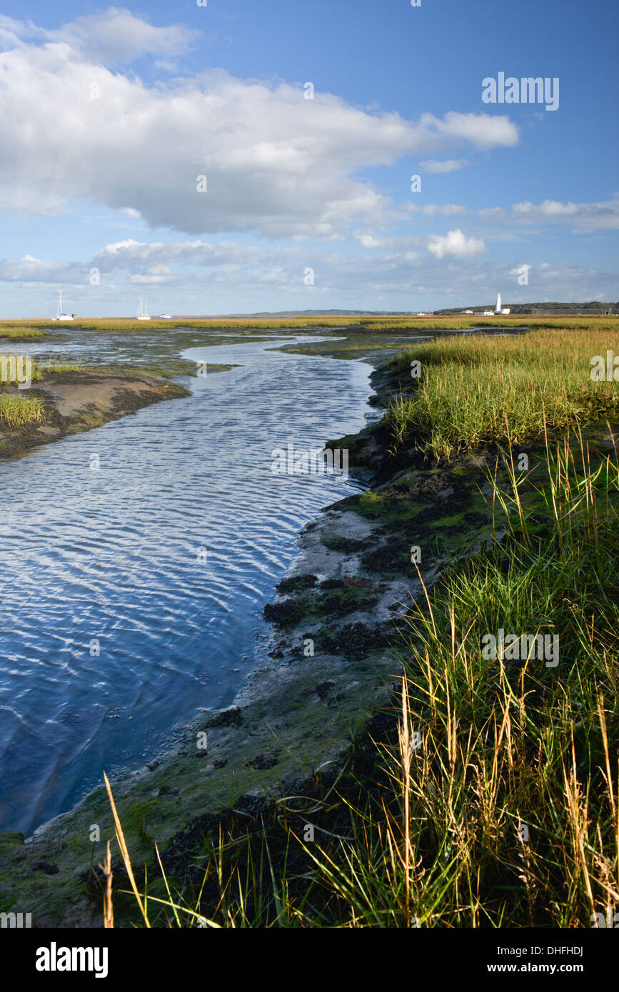 Hampshire england uk spit hi-res stock photography and images - Alamy