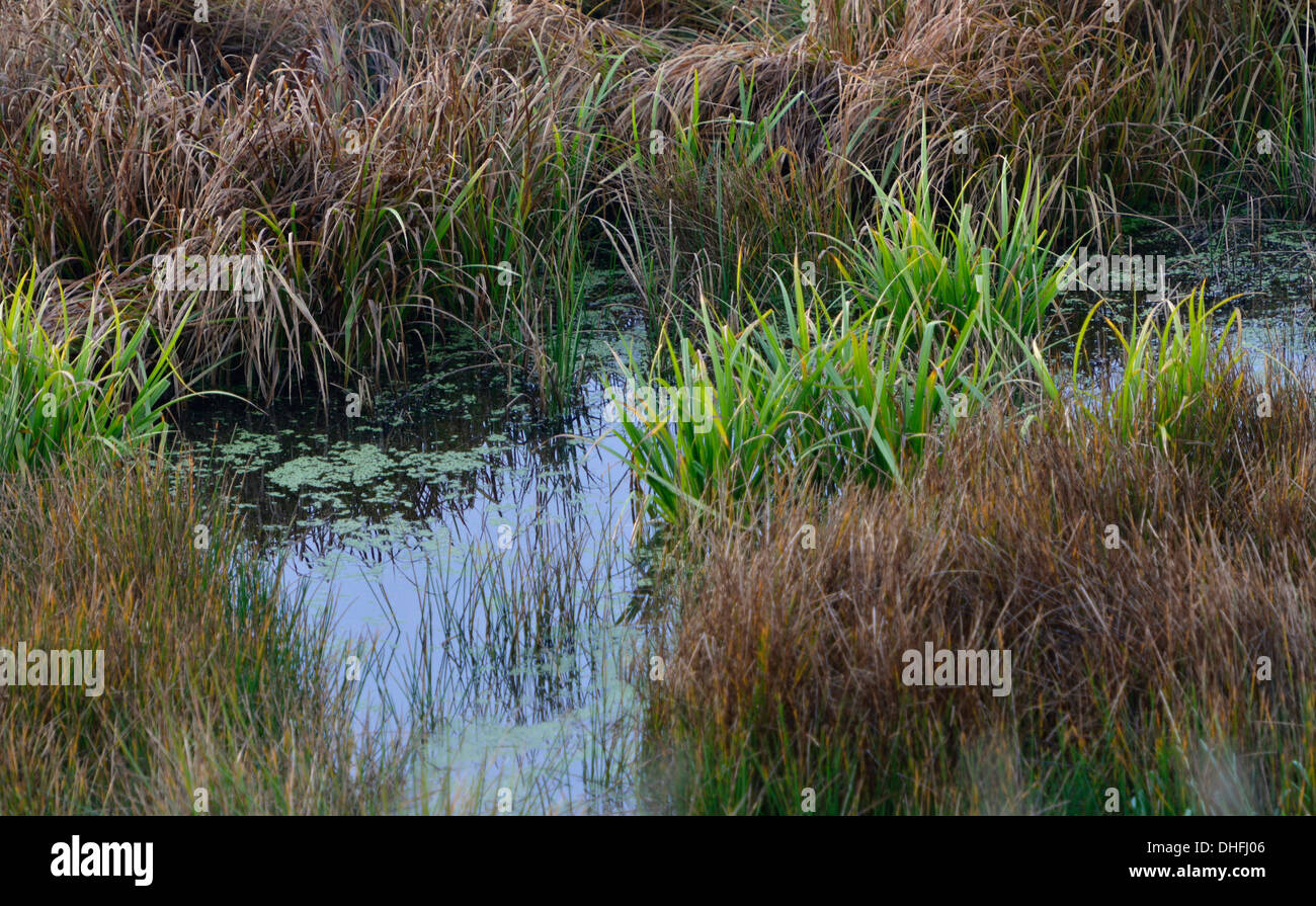 Snogeholm hi-res stock photography and images - Alamy