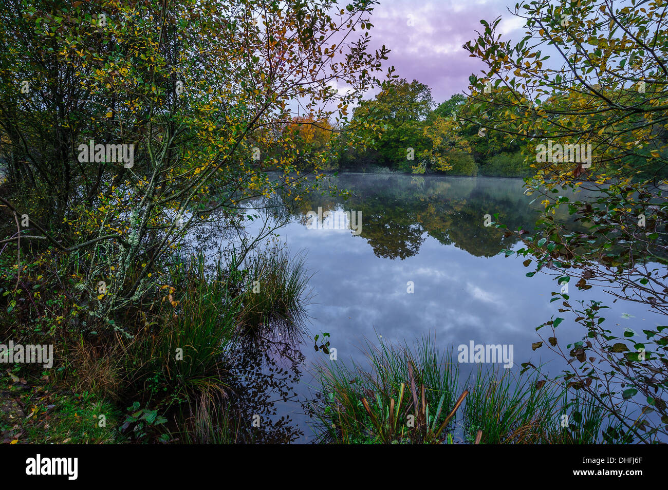 Eyeworth new forest hi-res stock photography and images - Alamy