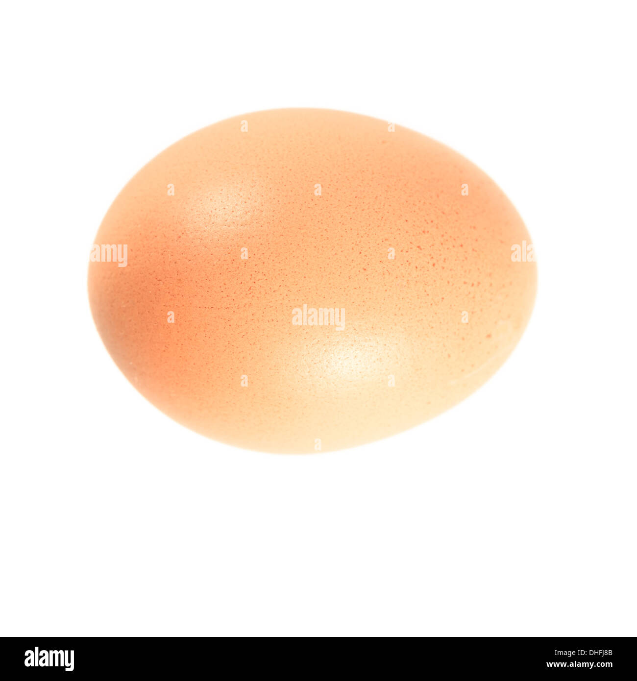 Single brown chicken egg isolated on white Stock Photo - Alamy