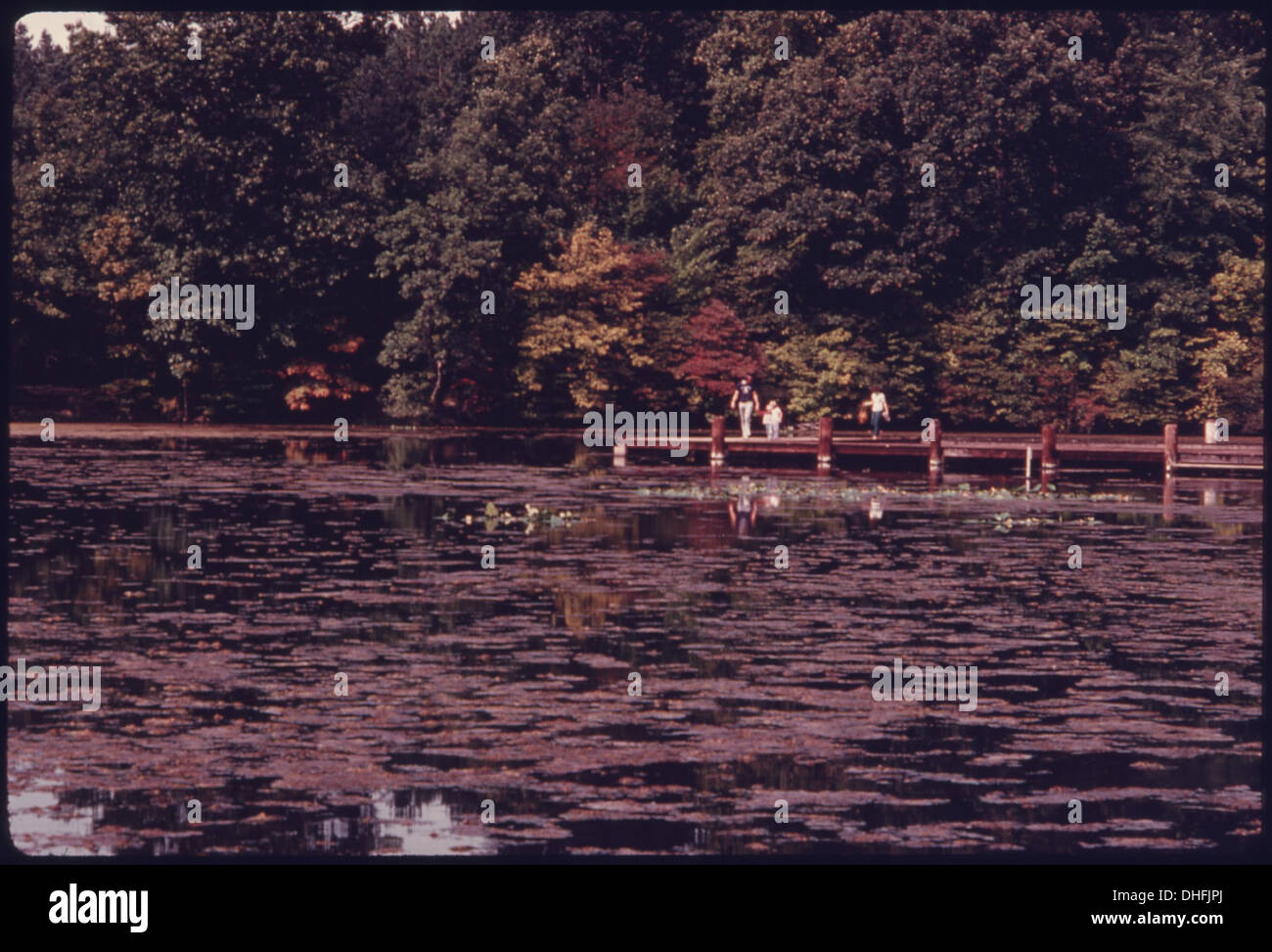 Platforms float over a lake at Virginia Kendall Park, providing ...