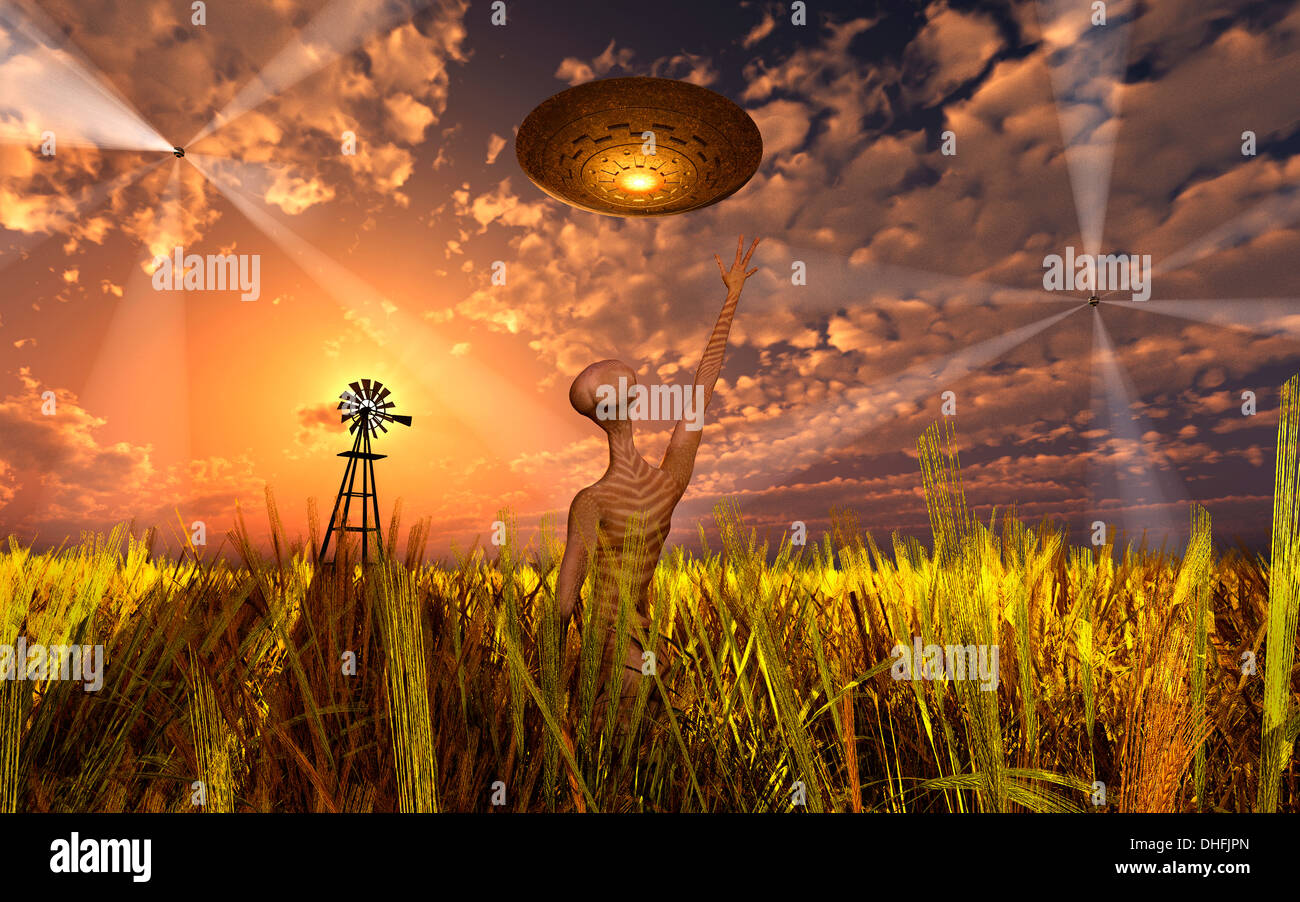 The Truth Behind The Making Of Crop Circles Stock Photo - Alamy