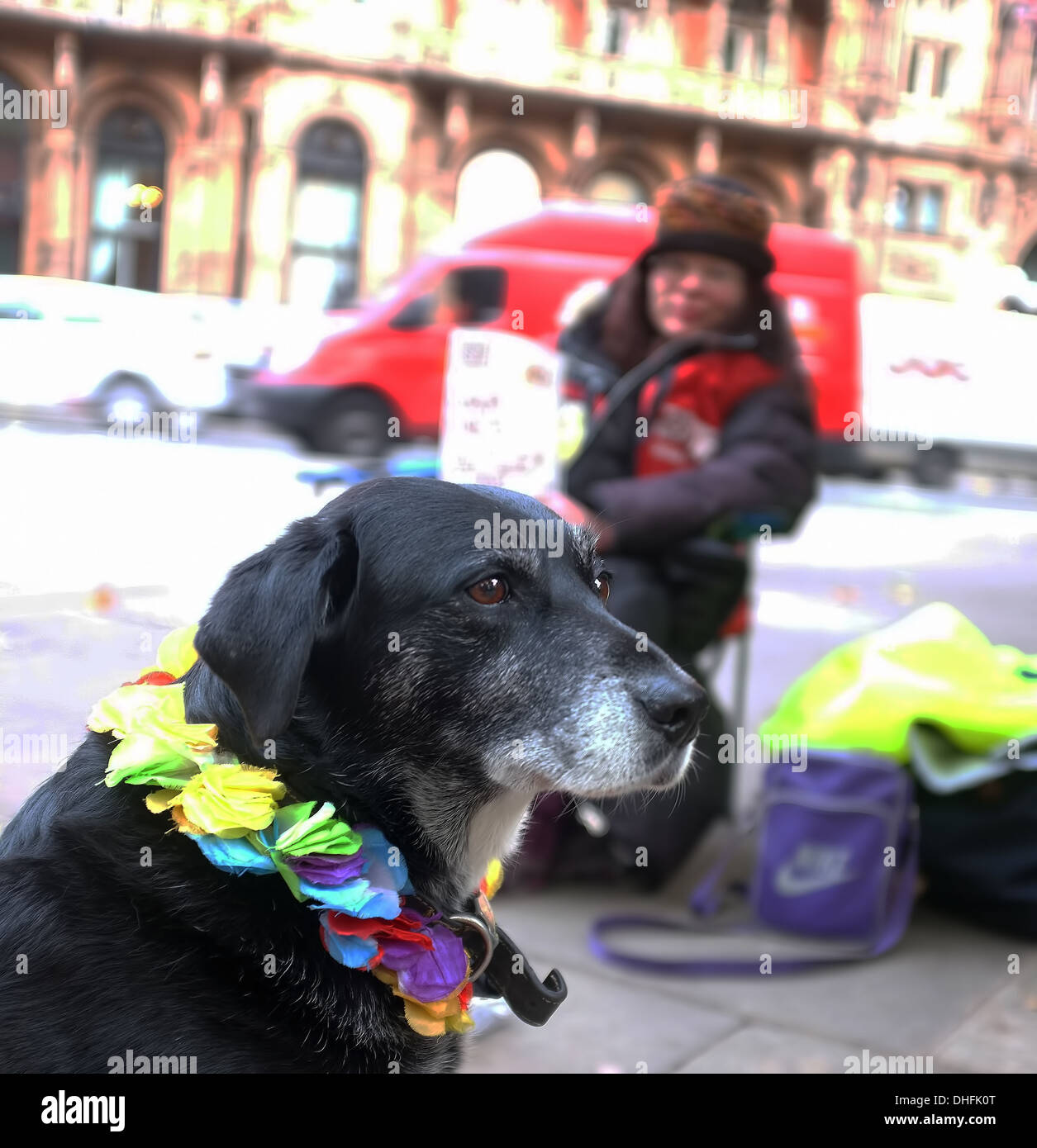 Homeless woman dog hi-res stock photography and images - Alamy