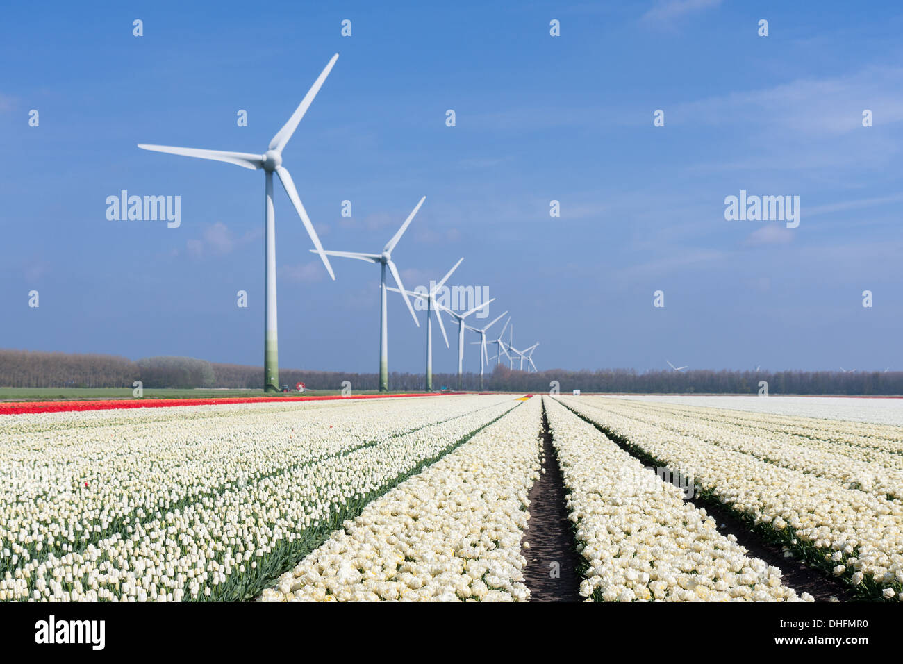Purple wind turbine hi-res stock photography and images - Alamy
