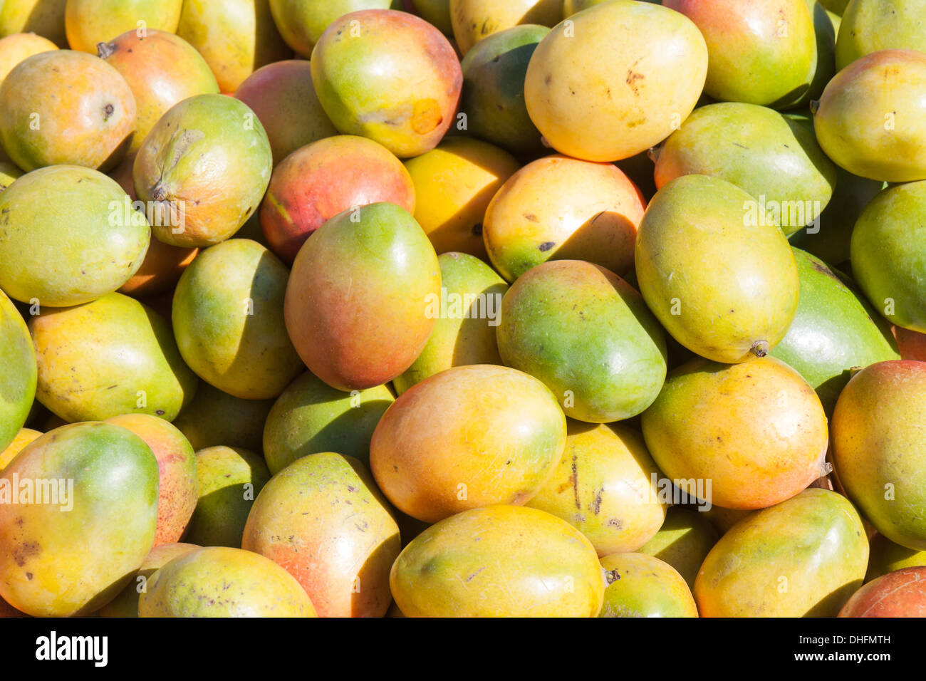 Ripe mangoes ready for sale Stock Photo - Alamy