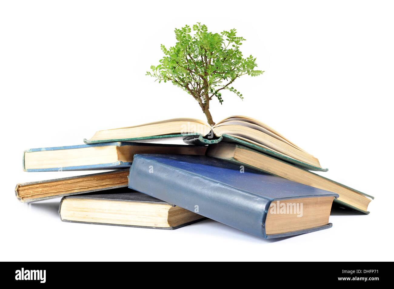 Tree growth from books Stock Photo - Alamy