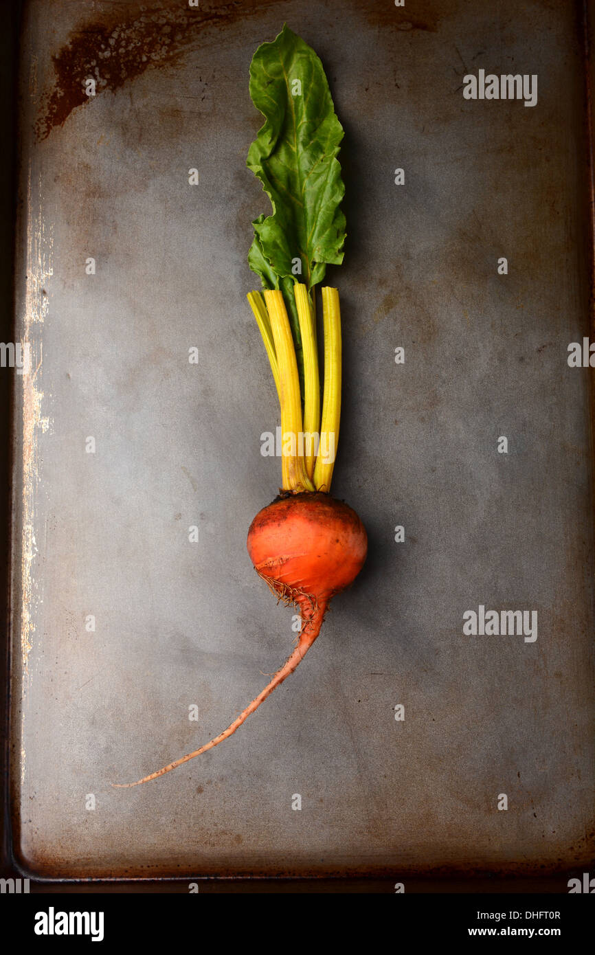 A single golden beet on a metal cooking sheet. Vertical format Stock ...
