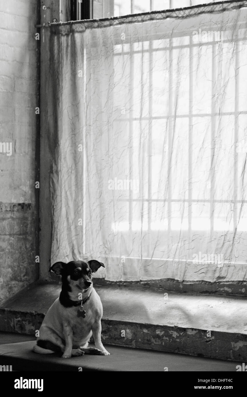 Bistro curtain hi-res stock photography and images - Alamy