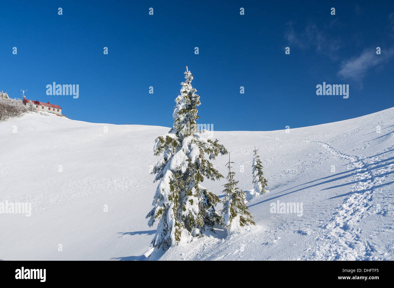 Scene from National park North Velebit, Croatia Stock Photo - Alamy