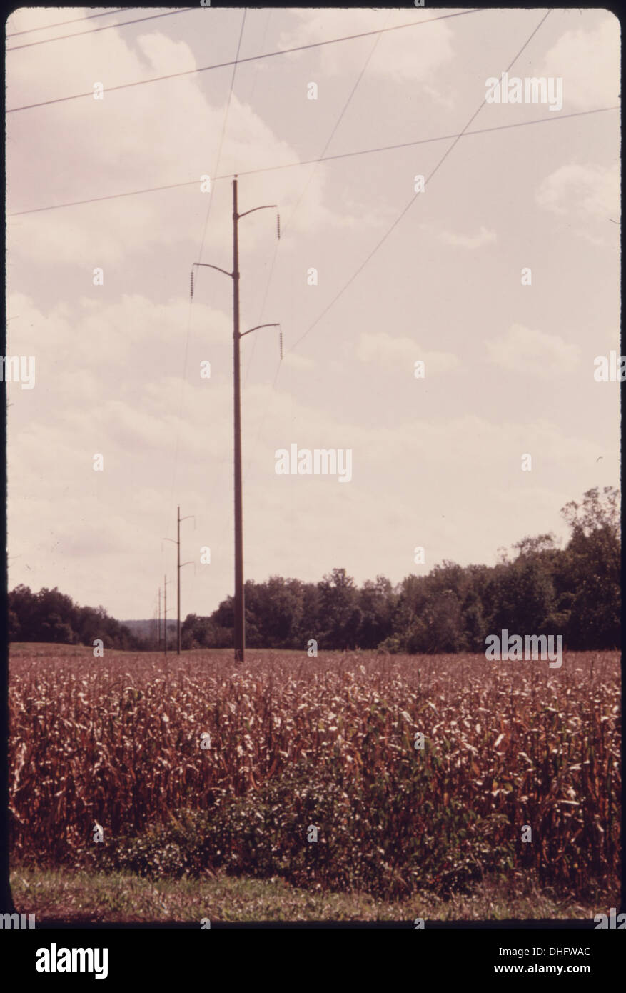 The Cuyahoga Valley features primarily corn fields, with utility poles ...