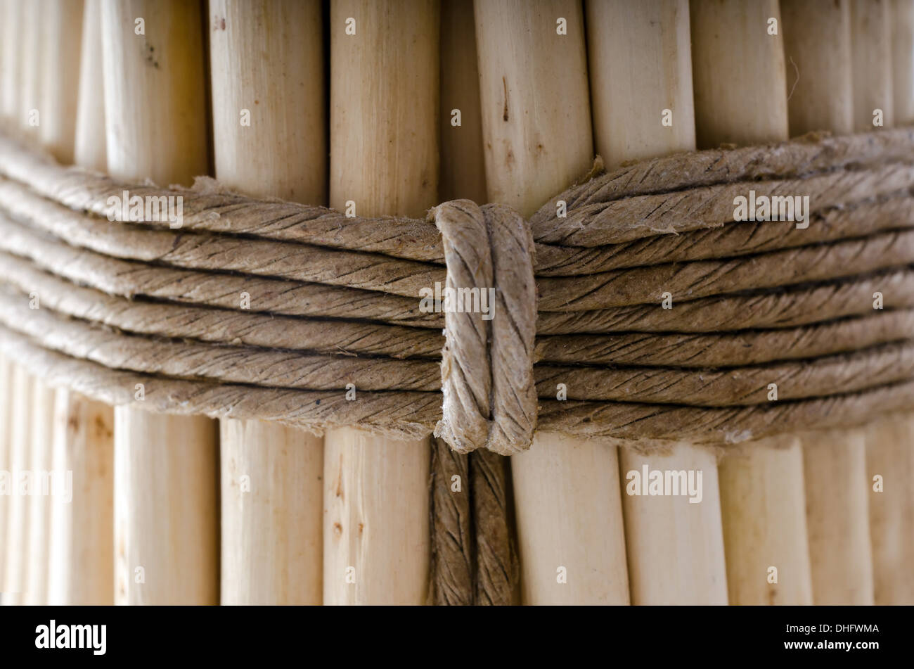 Several sticks connected by a rope. Union Symbol Stock Photo - Alamy