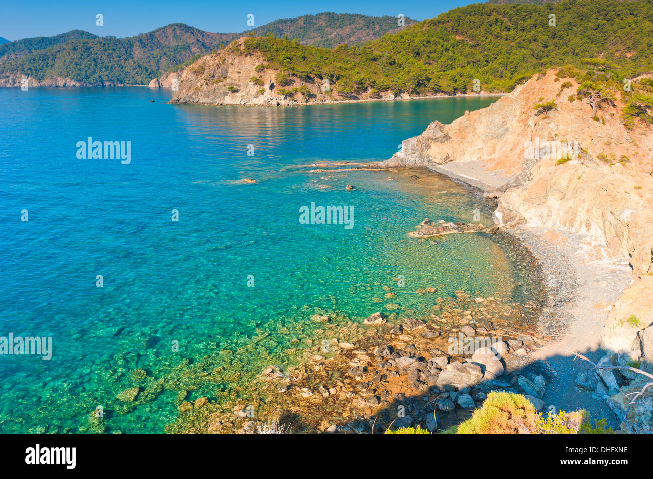 Pebble covered shore trees hi-res stock photography and images - Alamy
