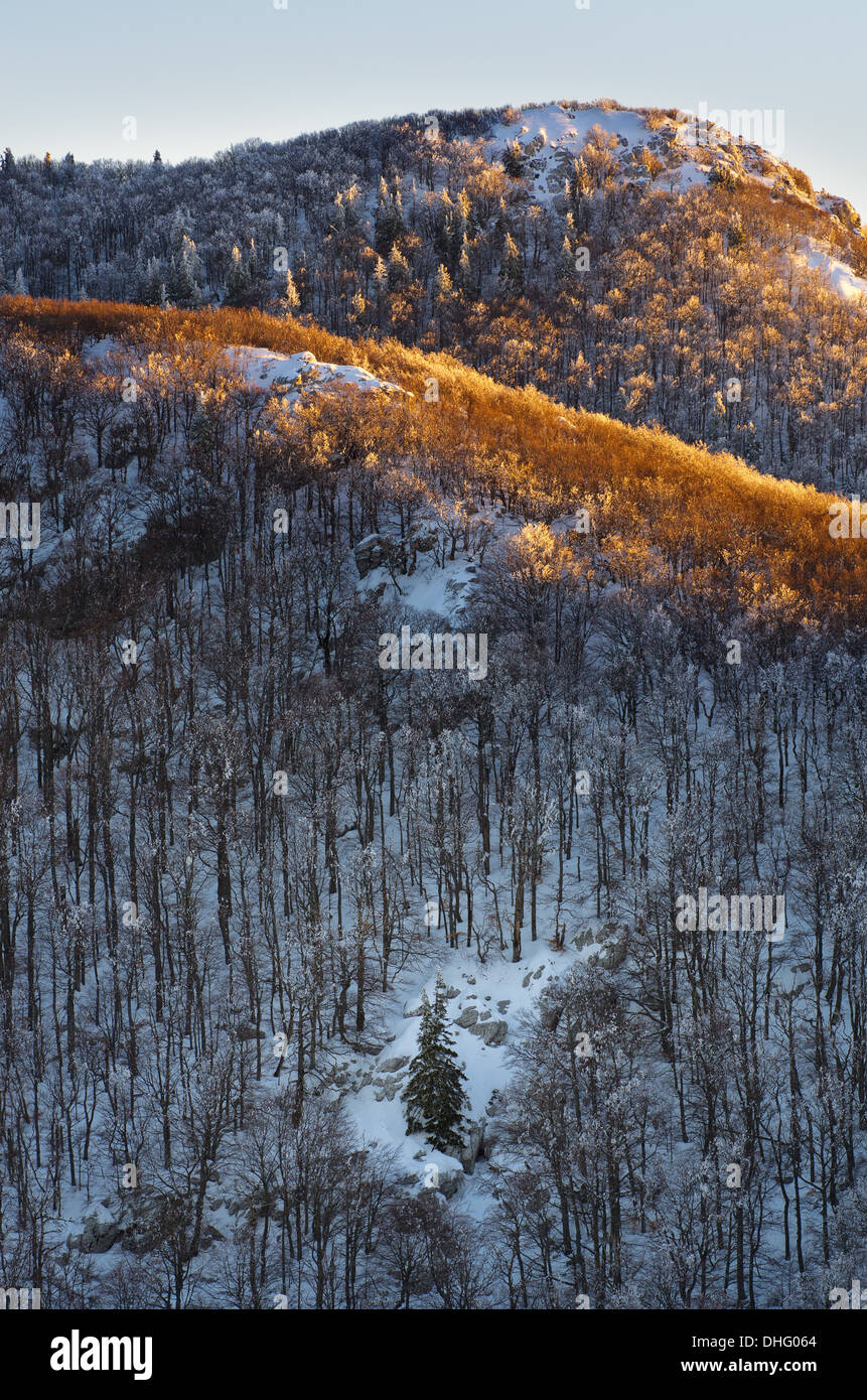 Scene from National park North Velebit, Croatia Stock Photo - Alamy