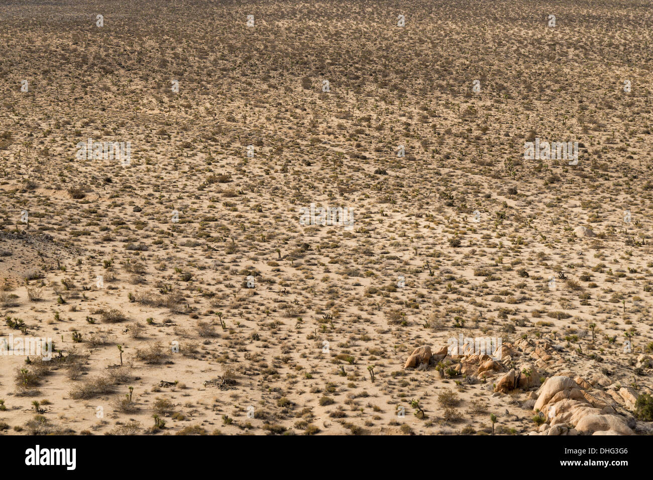 Wide view from above of the desert floor in Joshua Tree National Park ...