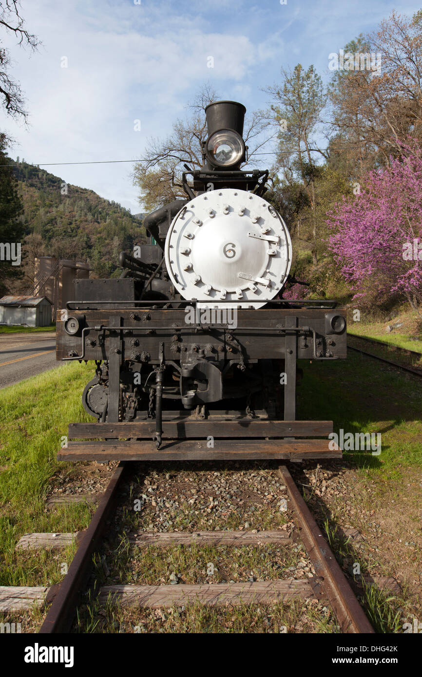 Shay Locomotive