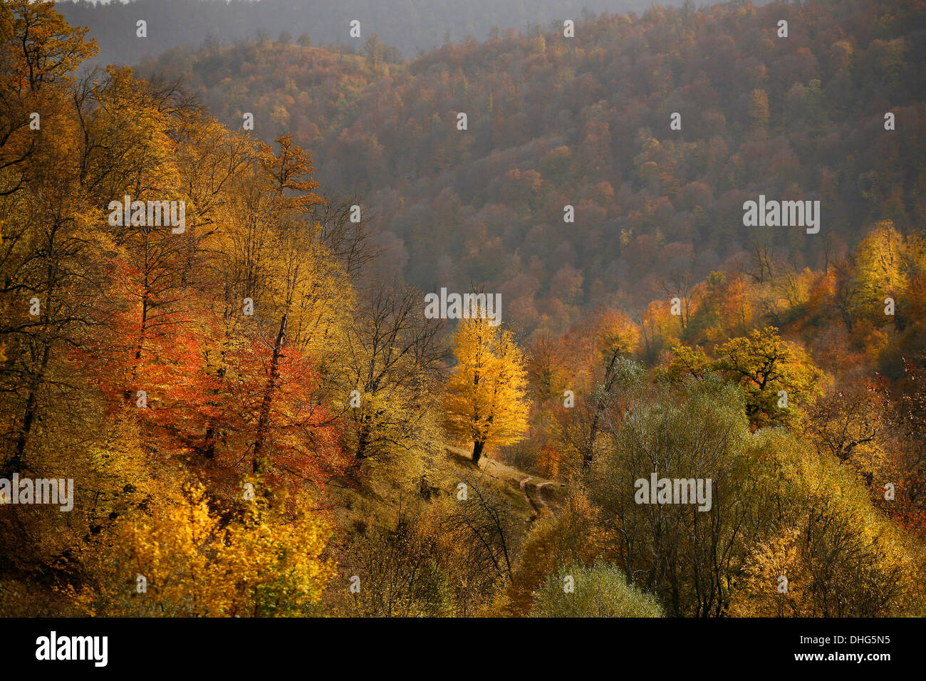 Yellow landscape wallpaper hi-res stock photography and images - Alamy