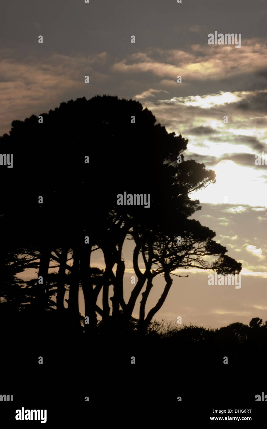 Atmospheric atmospheric landscape hi-res stock photography and images ...