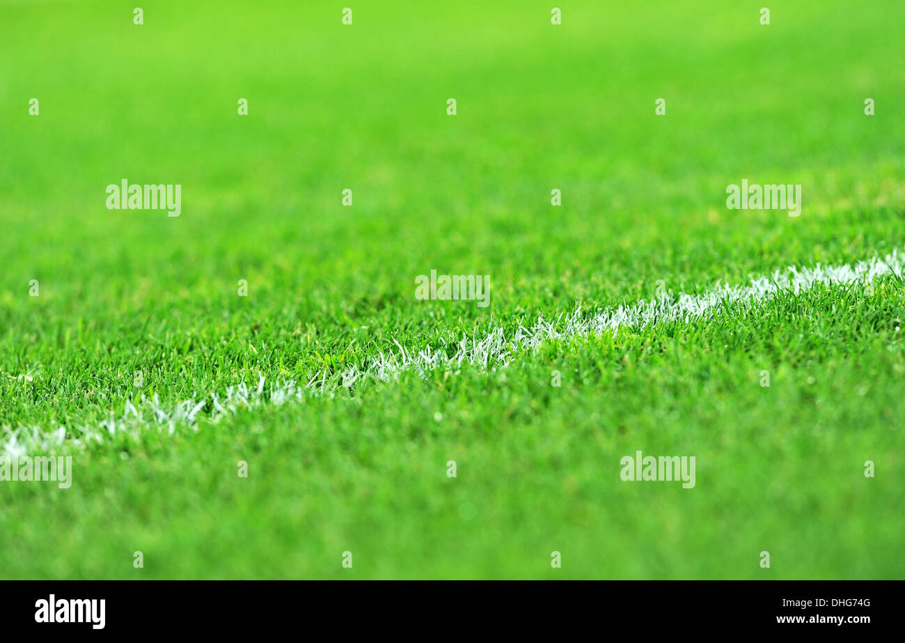 Close-up of a white painted stripe on a new turf soccer field Stock ...