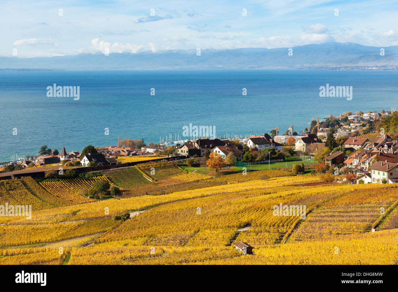 Vineyards in Lavaux region - Terrasse de Lavaux, Switzerland Stock ...