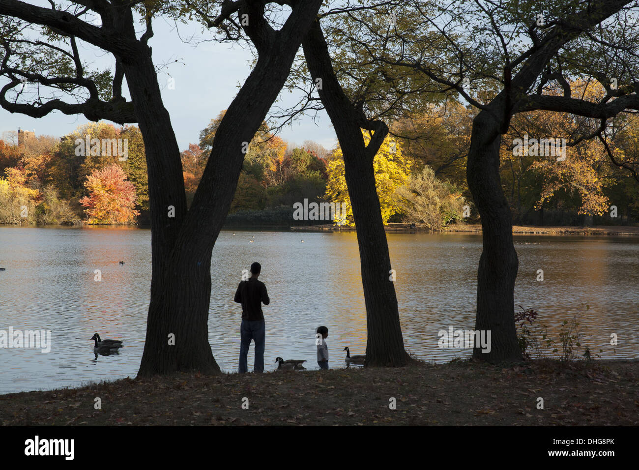 Autumn colors on exhibit hi-res stock photography and images - Alamy