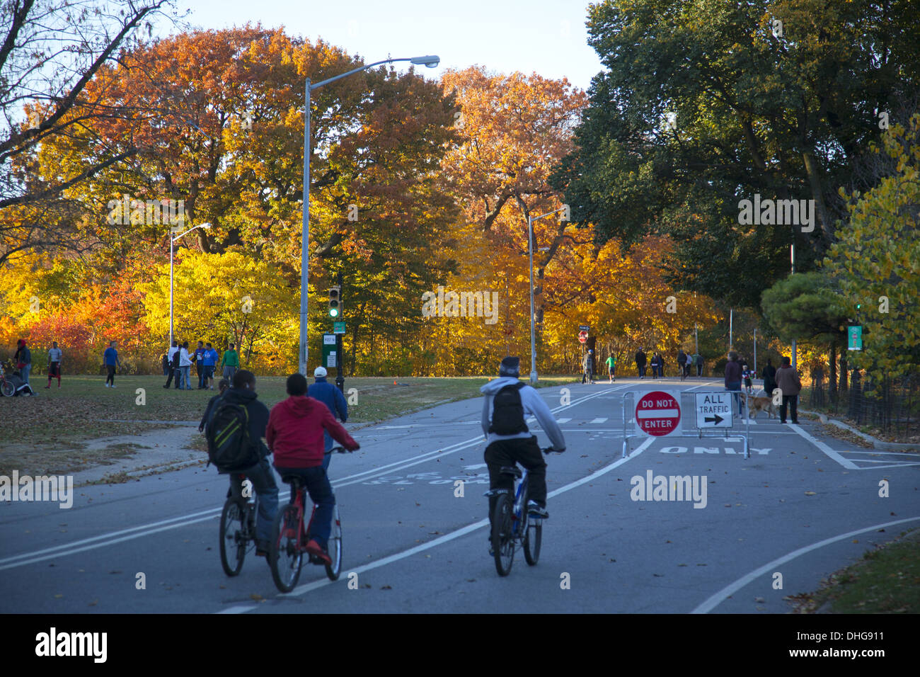 Autumn colors on exhibit hi-res stock photography and images - Alamy