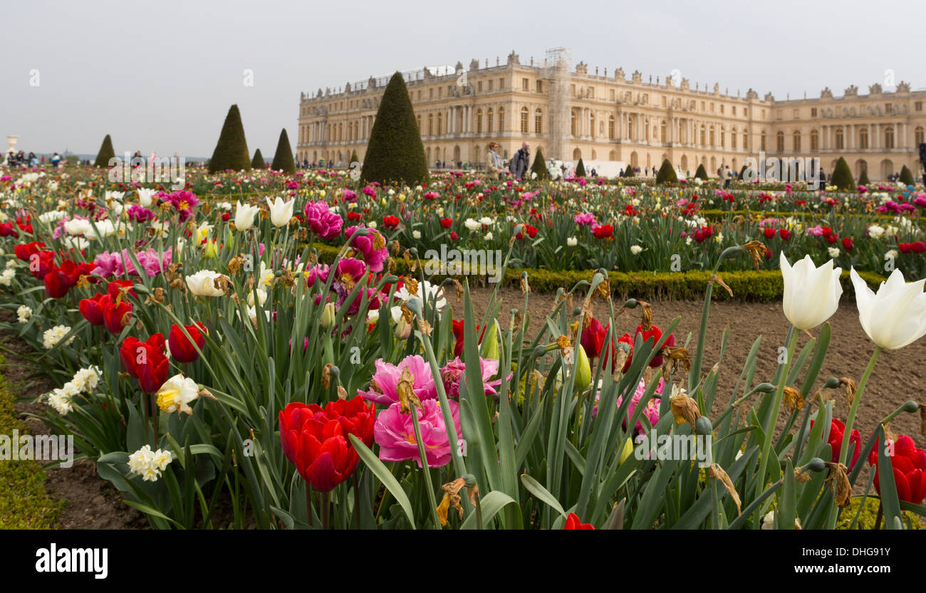 Flowers in the gardens of the palace of Versailles in Paris, France ...