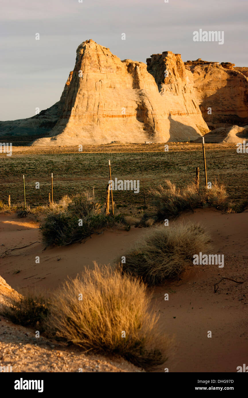 Vertical composition desert southwest landscape sandstone rock ...